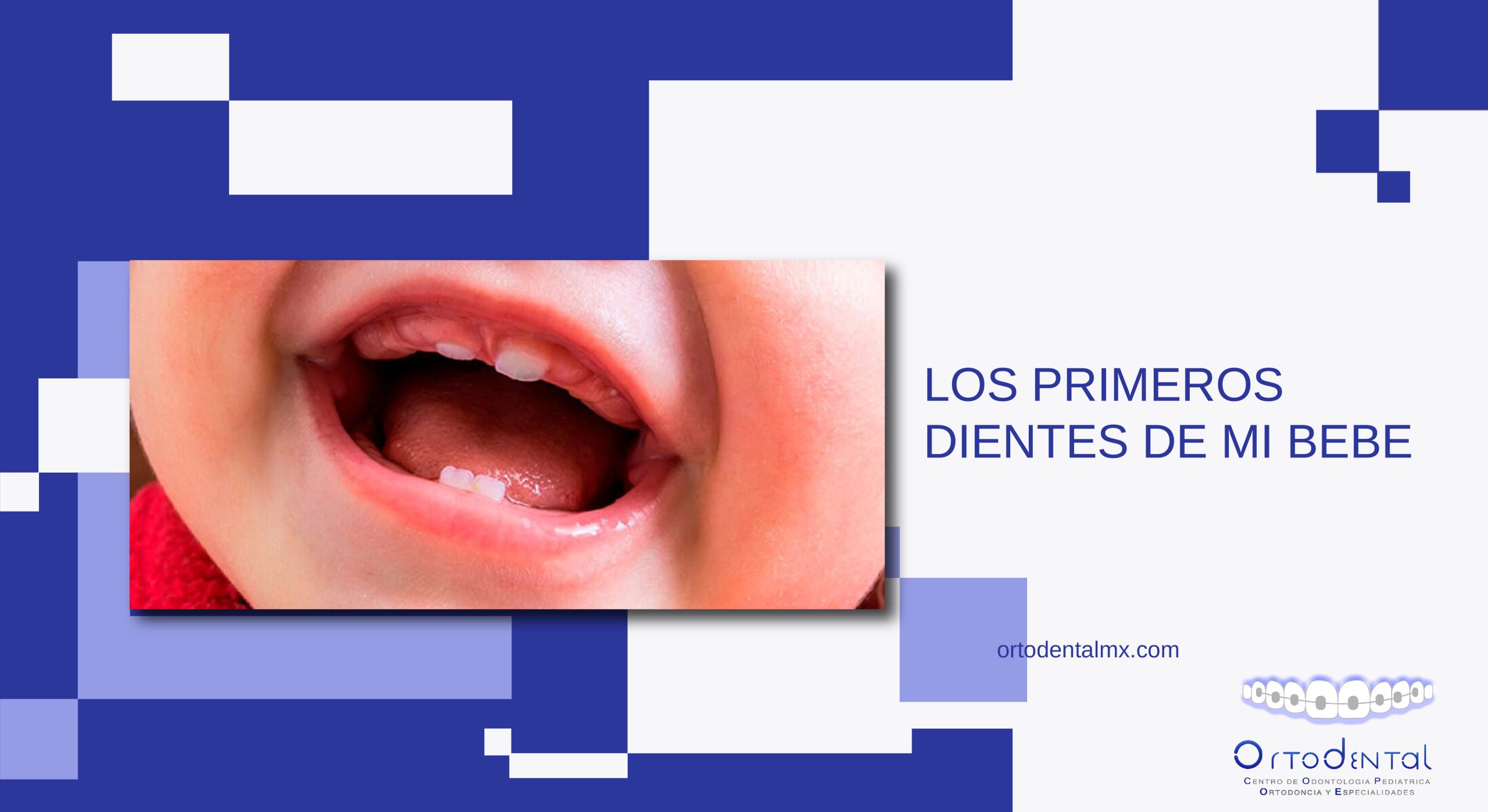 Los primeros dientes de mi bebe… - Ortodental